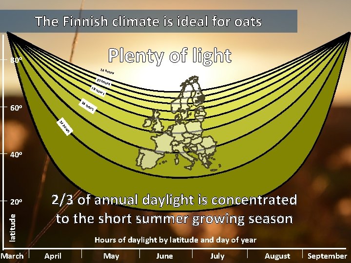 FINNISH OATS The Finnish climate is ideal for