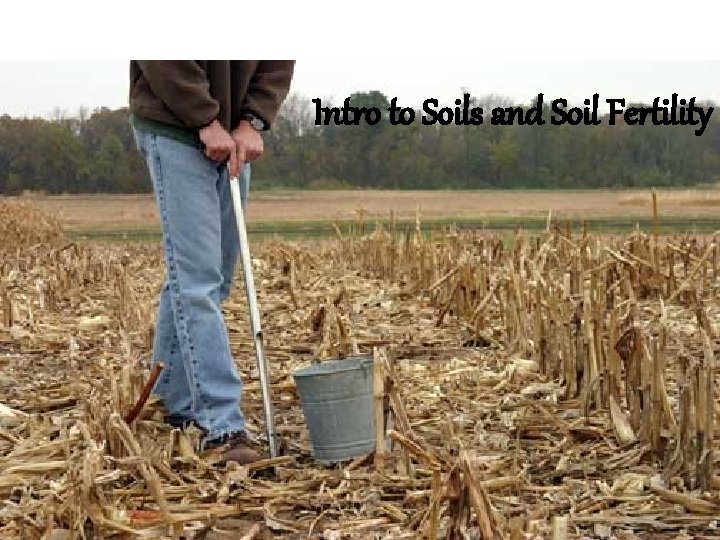 Intro to Soils and Soil Fertility What is