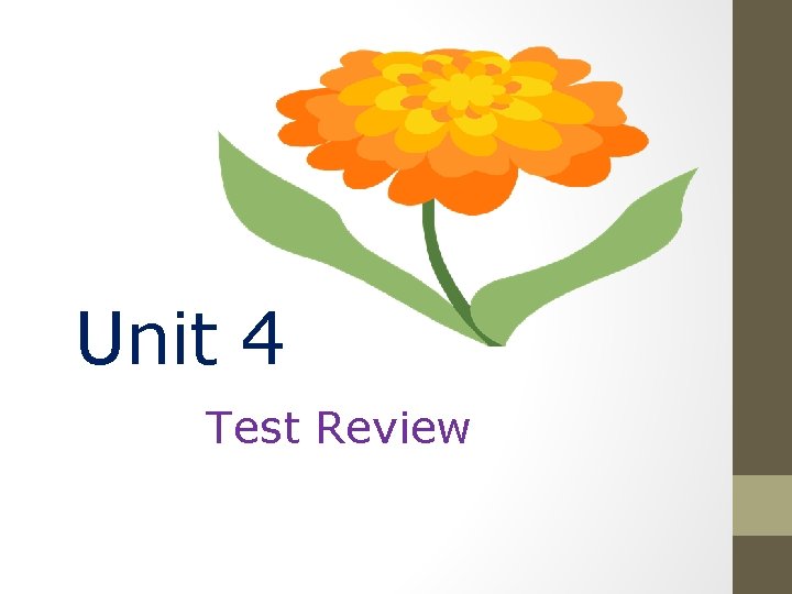 Unit 4 Test Review Theme is the meaning