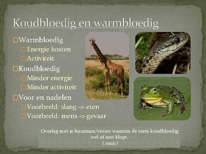 Verbranding en ademhaling Les 1 verbranding Verbranding Wat
