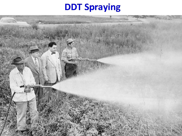 Aim Has globalization changed the world environment for