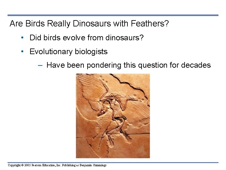 Chapter 15 Tracing Evolutionary History Power Point Lectures