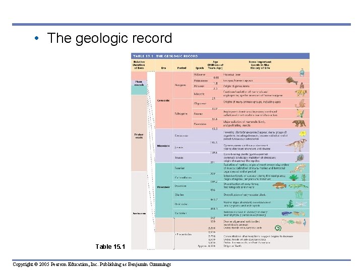 Chapter 15 Tracing Evolutionary History Power Point Lectures