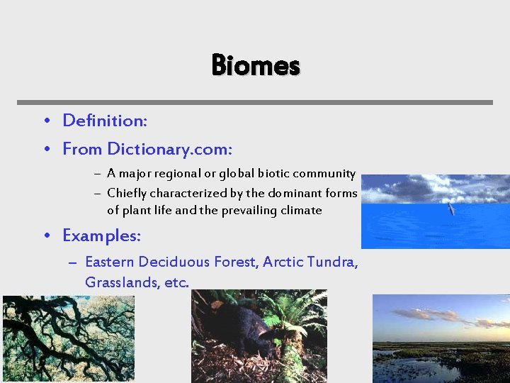 Introduction to Ecology CERC Certificate Program Columbia University