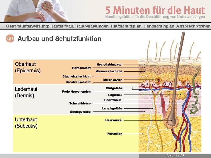 Gesamtunterweisung Hautaufbau Hautbelastungen Hautschutzplan ...