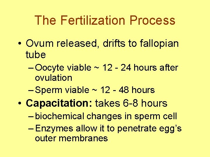 Chapter 12 Conception Pregnancy and Childbirth The Fertilization