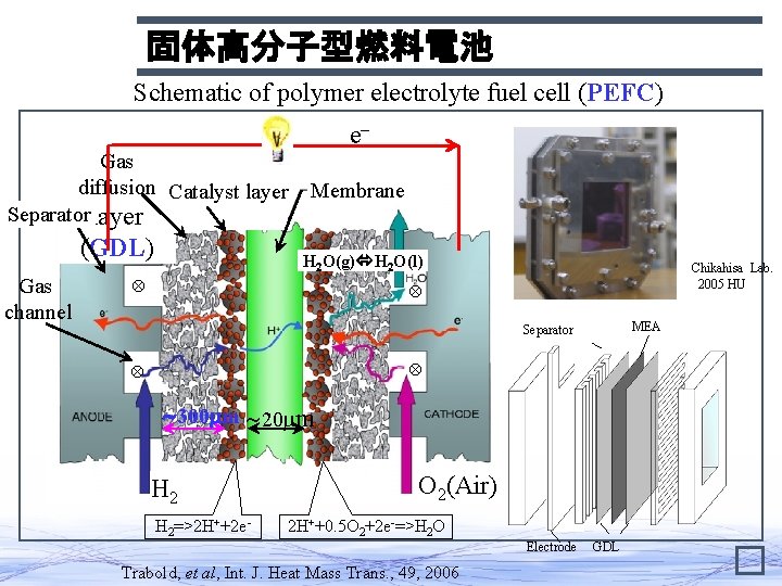 Schematic of polymer electrolyte fuel cell PEFC Gas