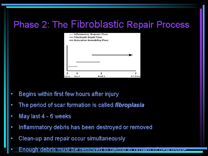 Phases of Healing The Inflammatory Response Always the