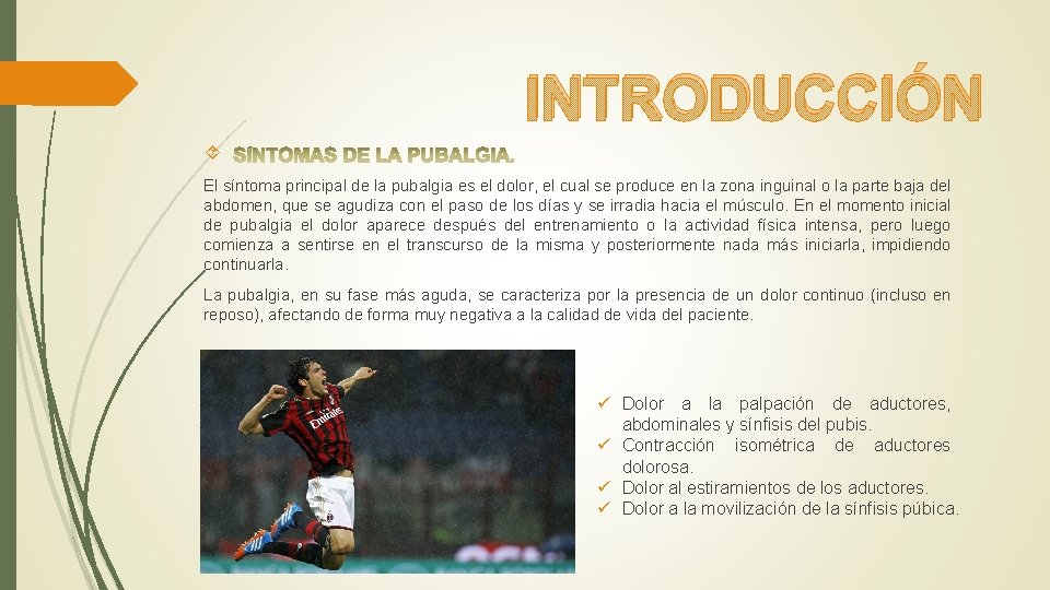 INTRODUCCIN La pubalgia es la denominacin genrica de