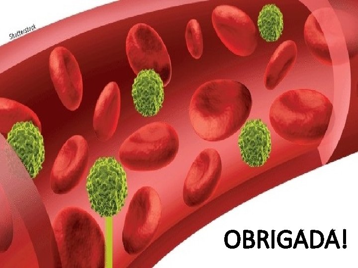 CLULAS DO SANGUE ENF FLAVIA COMPONENTES DO SANGUE