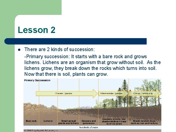 Ecosystems and Change Chapter 6 Lesson 1 How