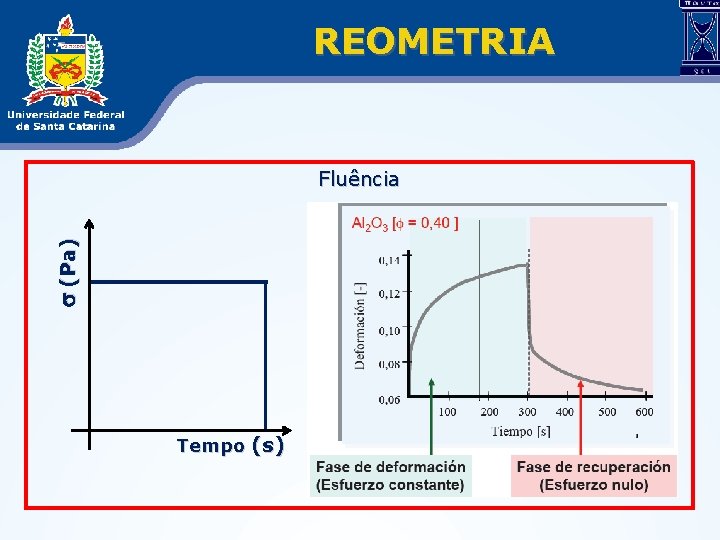 Curso de Fundamentos de Reologia Programa de PsGraduao
