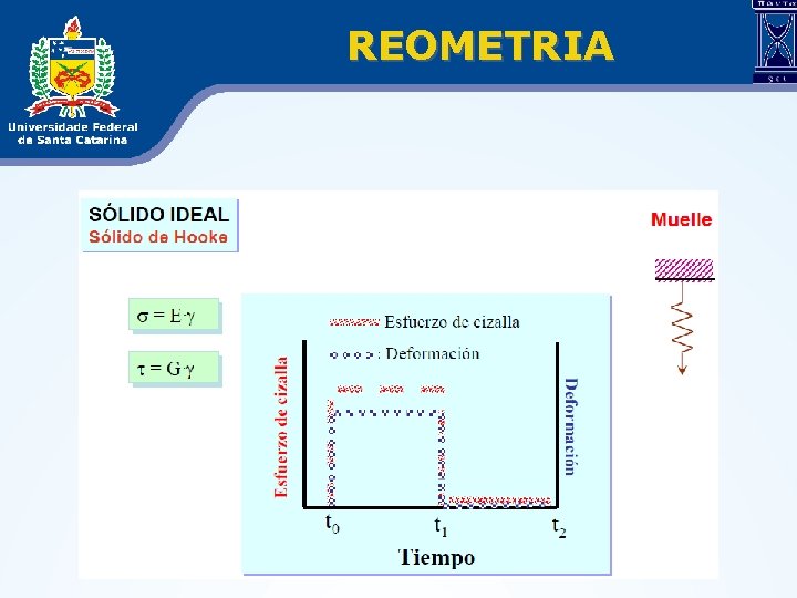 Curso de Fundamentos de Reologia Programa de PsGraduao