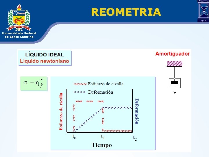 Curso de Fundamentos de Reologia Programa de PsGraduao