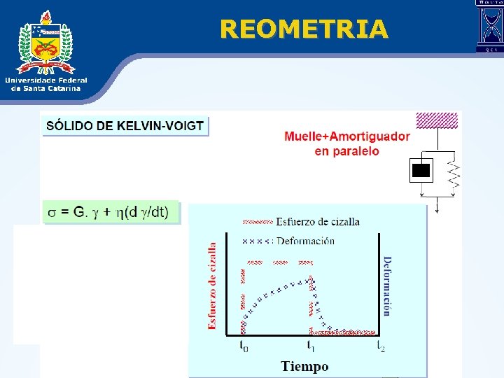 Curso de Fundamentos de Reologia Programa de PsGraduao