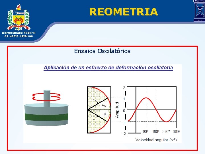 Curso de Fundamentos de Reologia Programa de PsGraduao