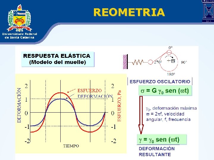 Curso de Fundamentos de Reologia Programa de PsGraduao