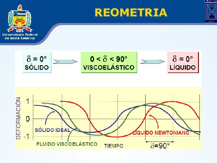 Curso de Fundamentos de Reologia Programa de PsGraduao