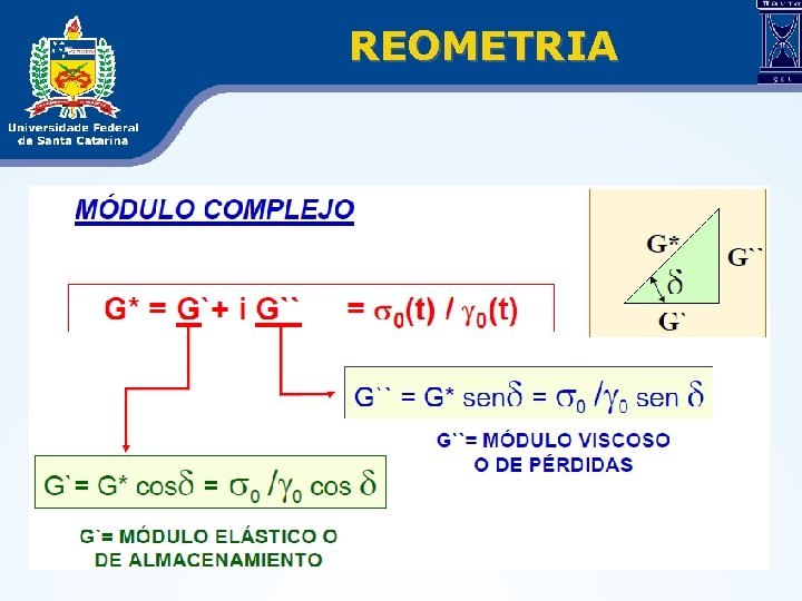 Curso de Fundamentos de Reologia Programa de PsGraduao