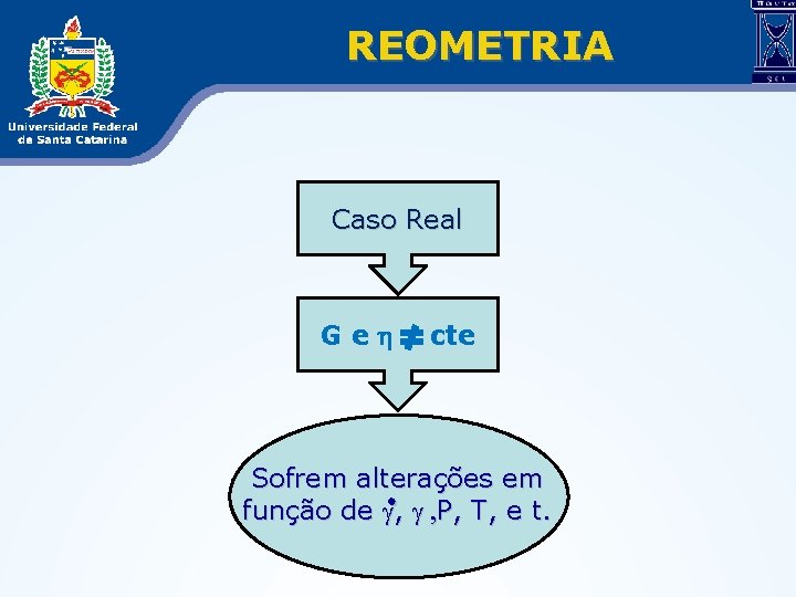Curso de Fundamentos de Reologia Programa de PsGraduao