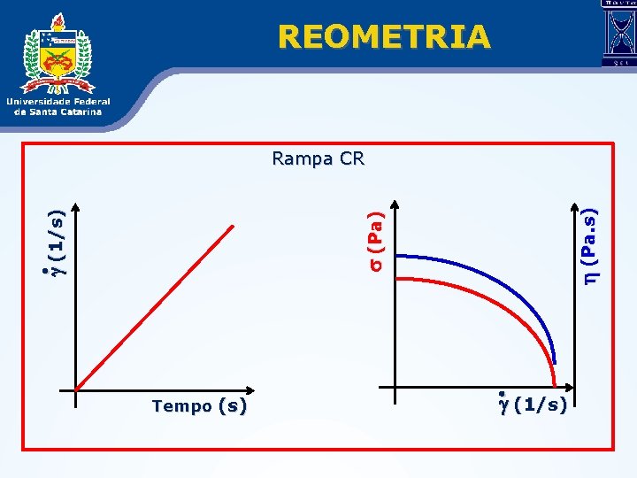 Curso de Fundamentos de Reologia Programa de PsGraduao