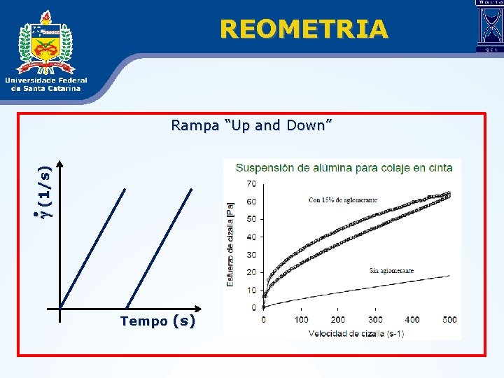 Curso de Fundamentos de Reologia Programa de PsGraduao