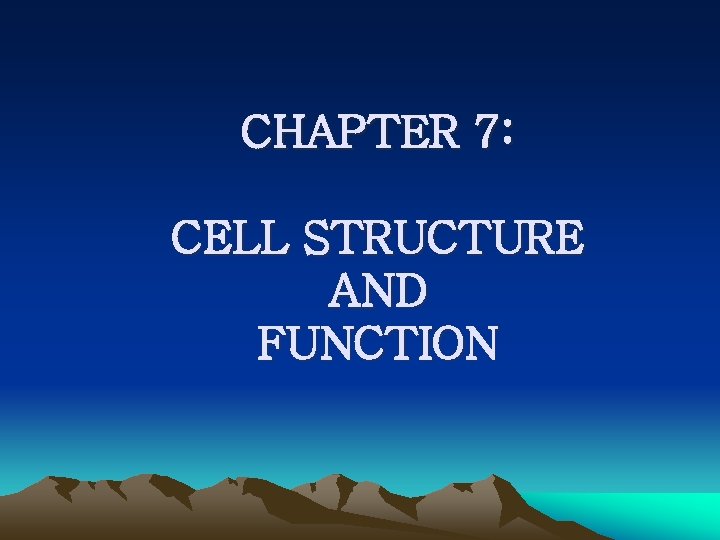 CHAPTER 7 CELL STRUCTURE AND FUNCTION California State