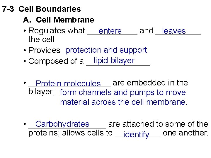 CHAPTER 7 CELL STRUCTURE AND FUNCTION California State