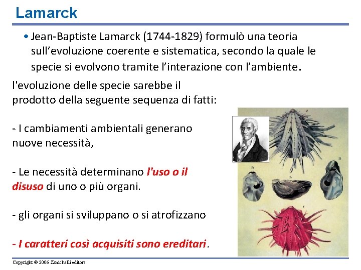 Teoria evolutiva di Darwin Copyright 2006 Zanichelli editore