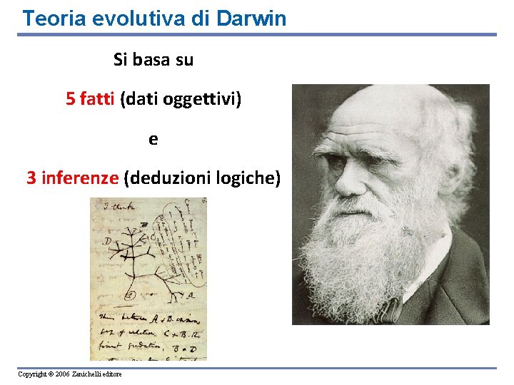 Teoria evolutiva di Darwin Copyright 2006 Zanichelli editore