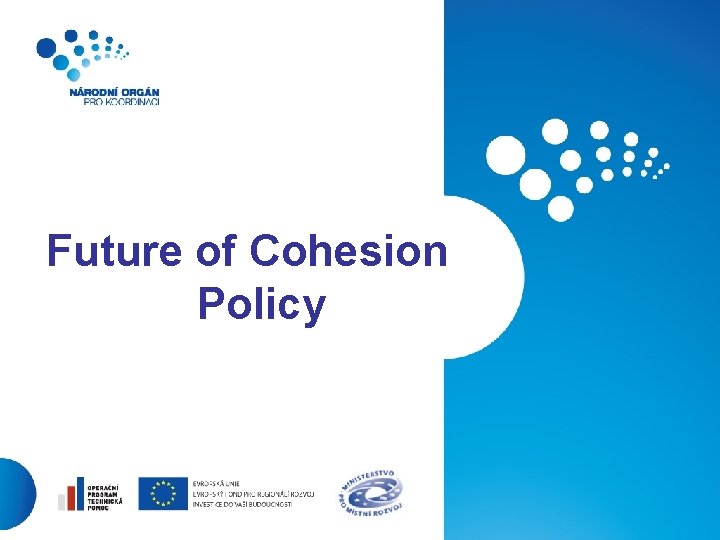 Future of Cohesion Policy 1 Principles and assumptions