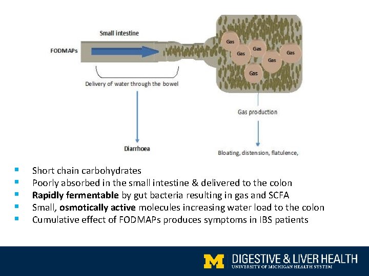 The Low FODMAP Diet for IBS Lauren Van