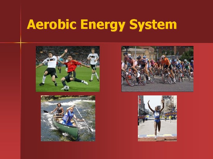 Energy Systems and Muscle Fibre Types In groups