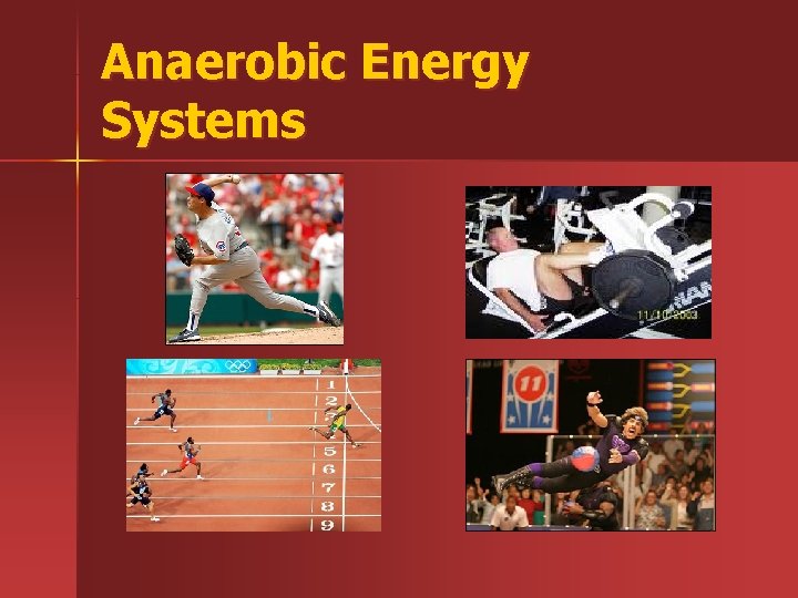Energy Systems and Muscle Fibre Types In groups