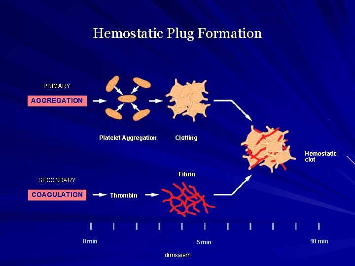 HEMOSTASIS Damaged Blood Vessels On vessel injury Vasoconstriction