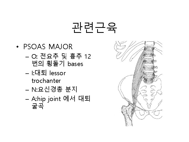 CHAPTER 4 HIP INTERNALLY ROTATED FEMUR IND Genu
