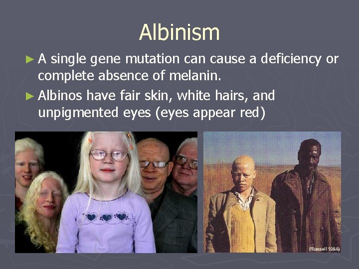 Seven Functions of Skin MechanicalChemical damage keratin toughens