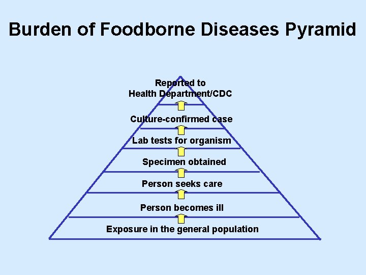 Focus Area 10 Food Safety Progress Review May
