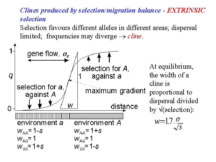 BIOL 2007 EVOLUTION IN SPACE AND TIME TUTORIAL