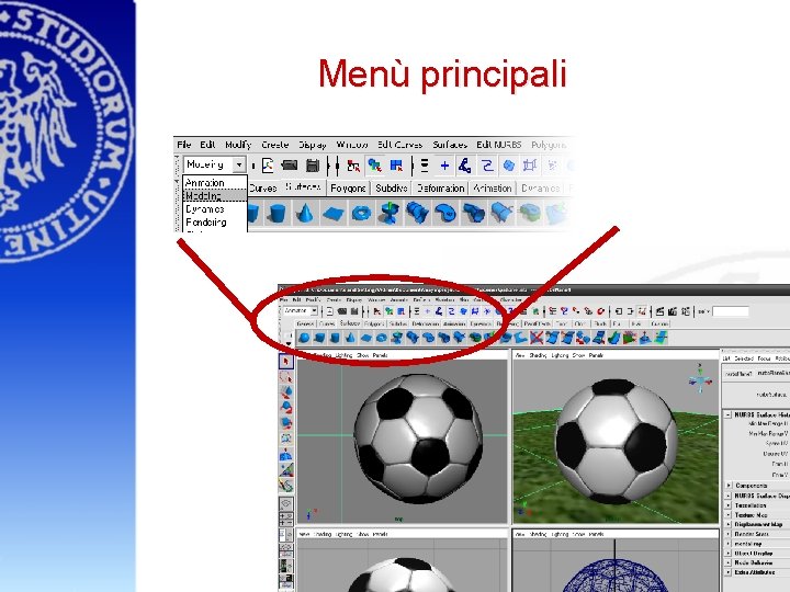 MAYA BASICS Interfaccia Le quattro viste Le quattro