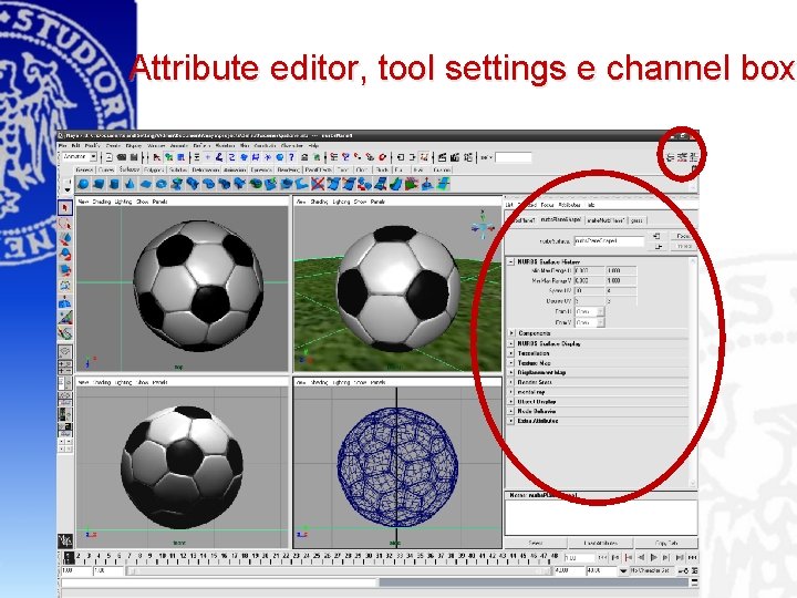 MAYA BASICS Interfaccia Le quattro viste Le quattro