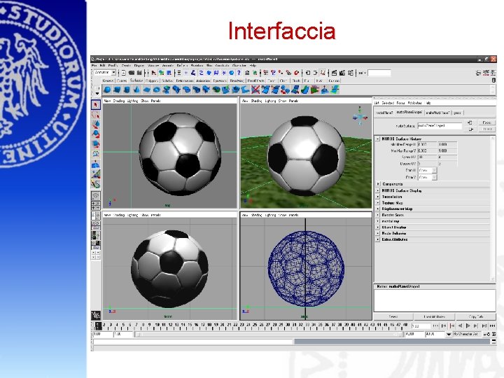 MAYA BASICS Interfaccia Le quattro viste Le quattro