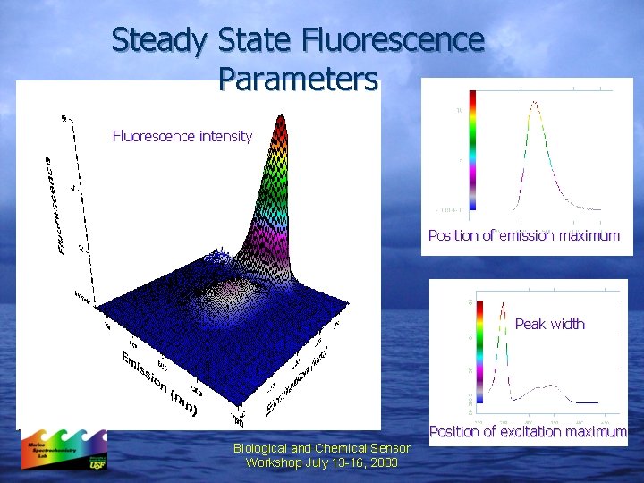 Fluorescence Spectroscopy in Oceanography Paula G Coble College