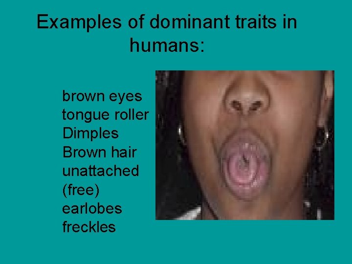 CHAPTER 5 HEREDITY I Mendel and his peas