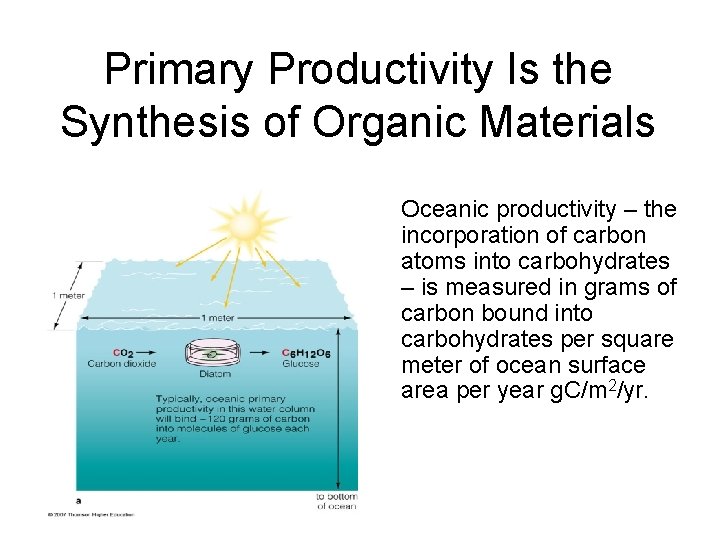 Chapter 13 Life in the Ocean Biodiversity Earth