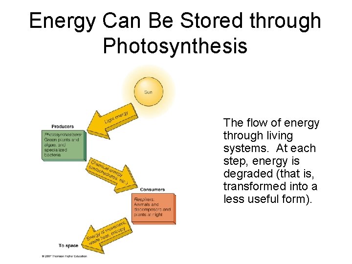 Chapter 13 Life in the Ocean Biodiversity Earth