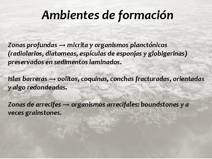 3 CLASIFICACIN DE ROCAS CARBONATADAS Clases Auxiliares de