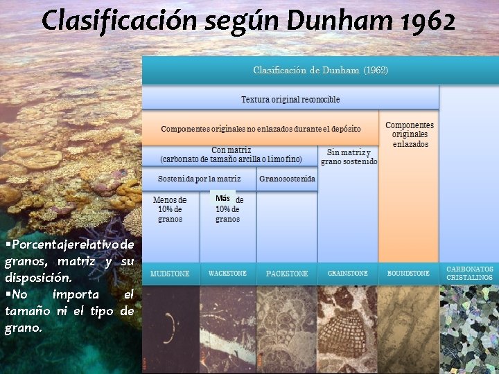 3 CLASIFICACIN DE ROCAS CARBONATADAS Clases Auxiliares de