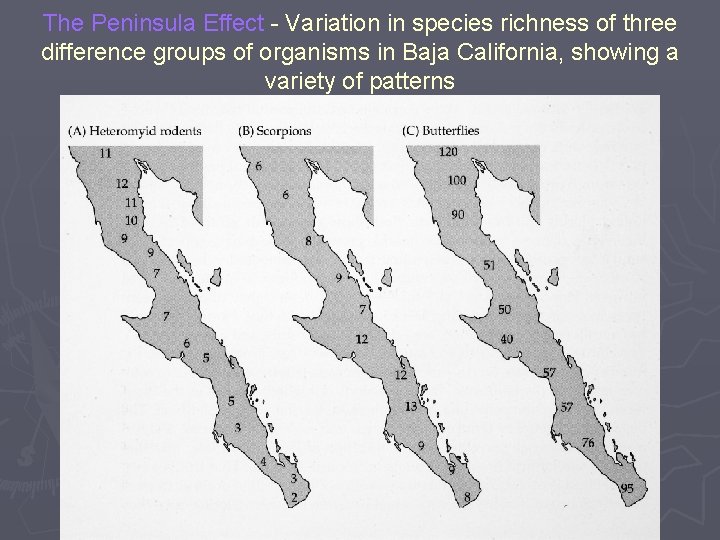Biogeography Chapter 10 The Geography of Diversity Species