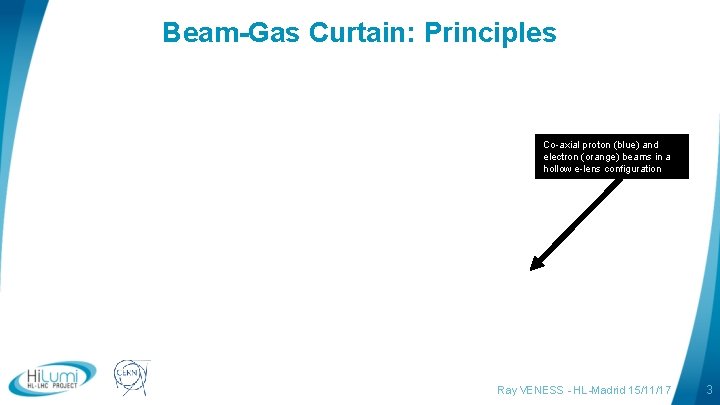 BeamGas Curtain BGC profile monitor Project Overview and